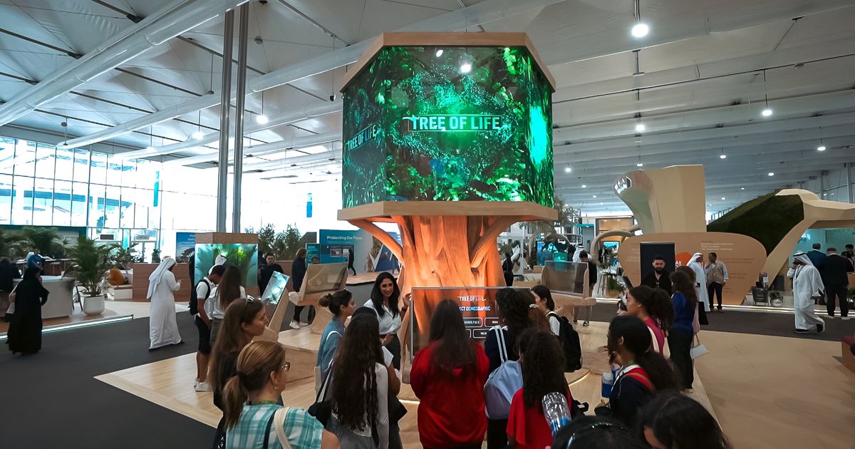 COP28 Tree: Interactive Sustainability Experience